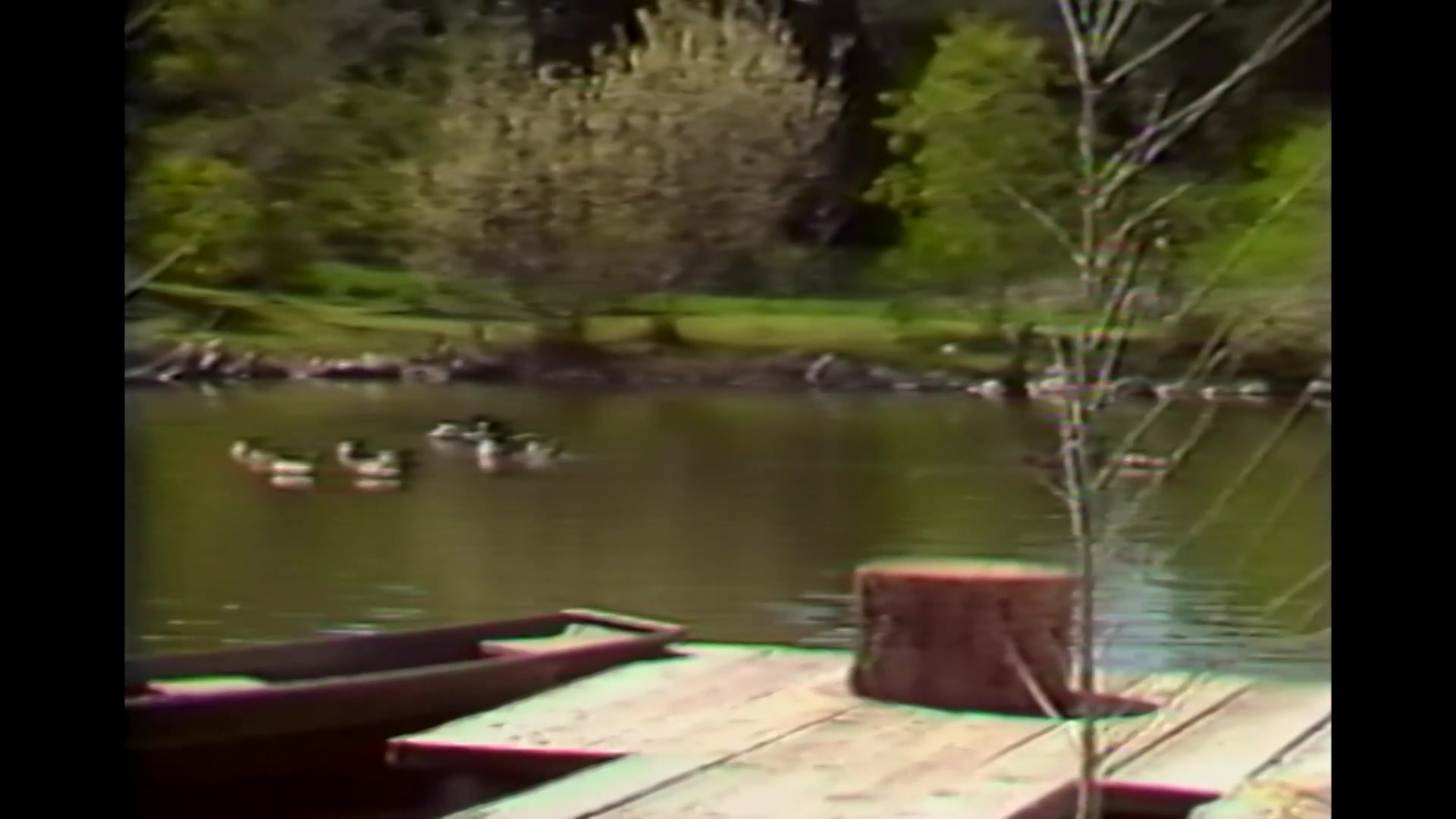 Flashtrance | Alpha Blue Archives | SugarInstant