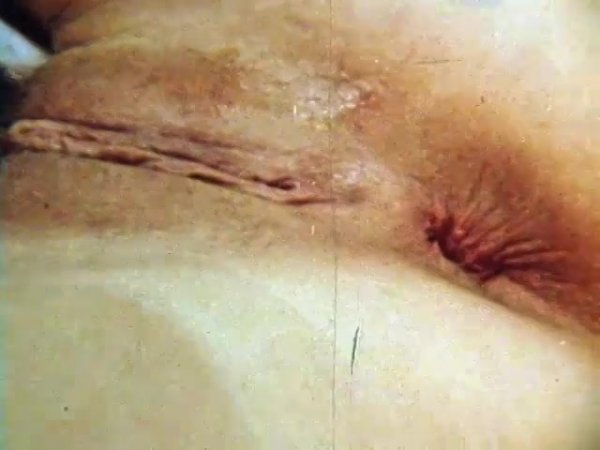 Erotic World Of Seka 504 Sekas Fullfillment By Hotoldmovies Hotmovies