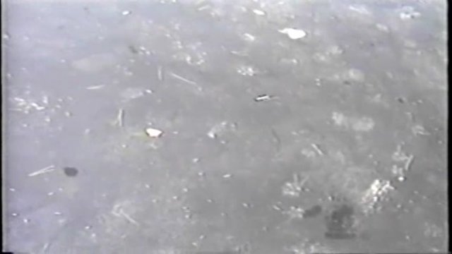 Scene 2 From Southern Fried Amateurs 13 1998 By Filmco Hotmovies