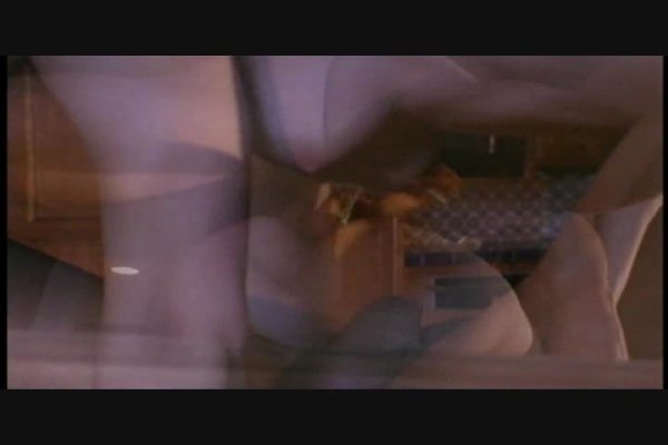Incredible Expanding Vagina The 2006 By Vivid Hotmovies