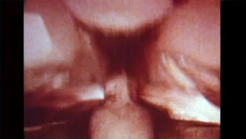 Swedish Erotica 446 Working Lovers 1981 Hotoldmovies Adult Dvd