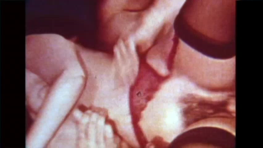 Swedish Erotica 446 Working Lovers 1981 Hotoldmovies Adult Dvd