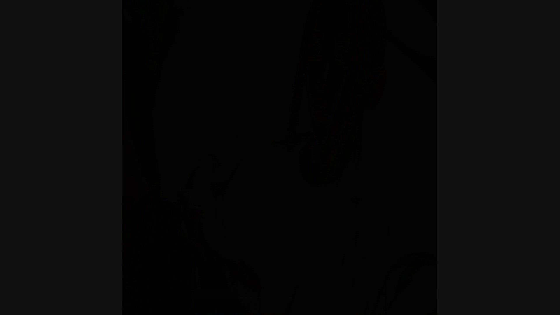 S Model 172 Emiri Okazaki 2017 Adult Empire
