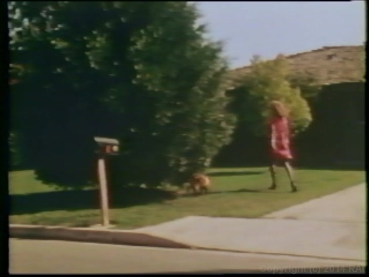 Annette Haven Triple Feature 2 The 1984 Adult Empire