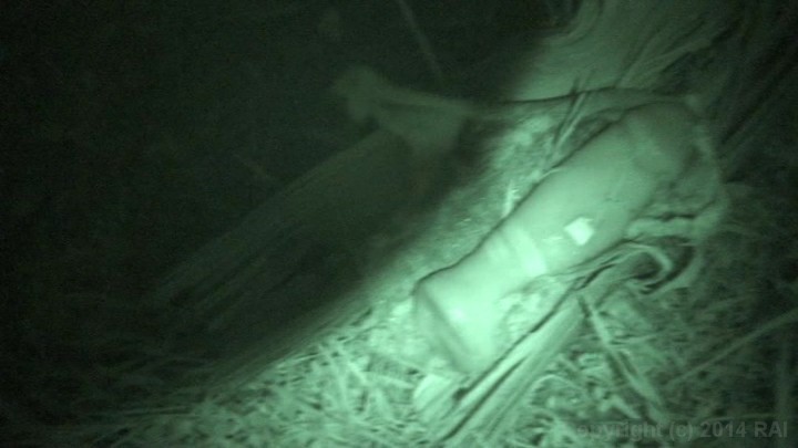 Blair Witch Project The A Hardcore Parody 2011 Adult Empire