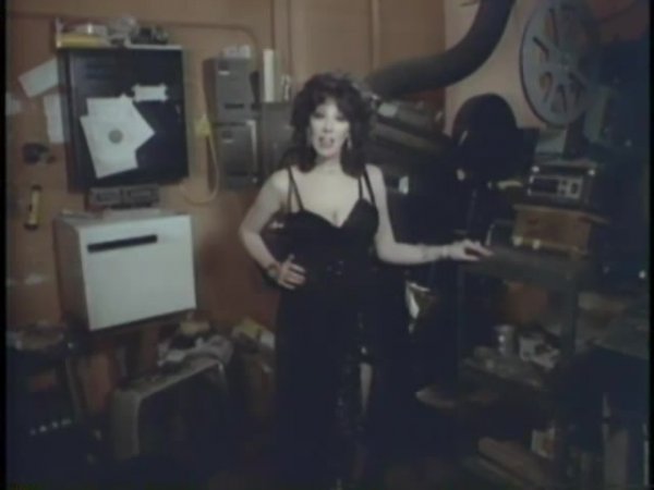 Original Theatrical Trailer Deep Inside Annie Sprinkle By Video X Pix