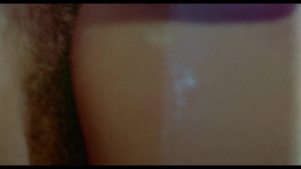 Barbara Broadcast Director Commentary With Radley Metzger 1977 By Video X Pix Hotmovies