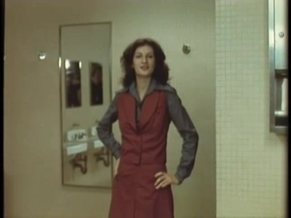 Sharon Mitchells Airport Bathroom Gang Bang By Video X Pix Hotmovies 