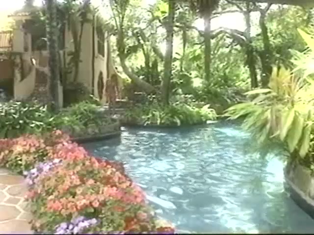 Marilyn Chambers The Sex Files Streaming Video On Demand Adult Empire