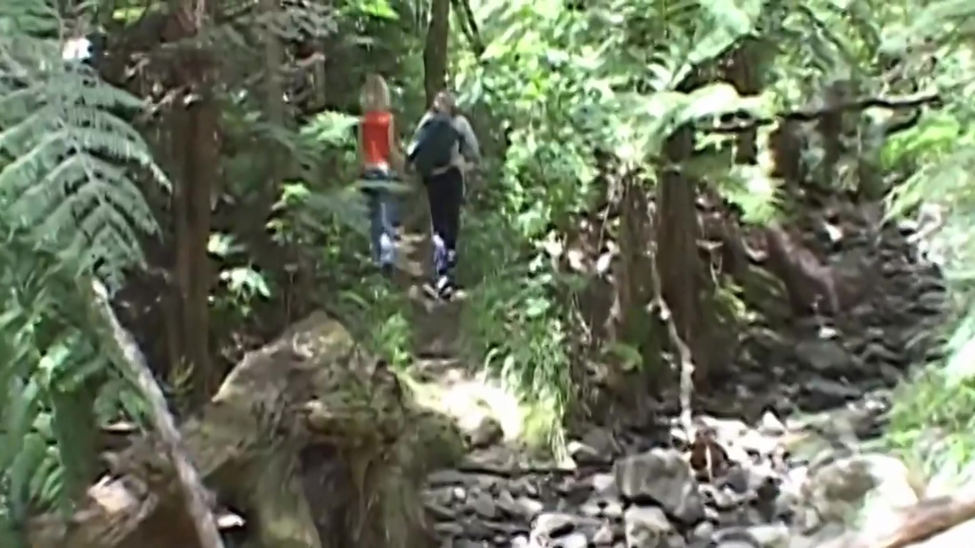 Hot Sex Cool Places 4 Streaming Video On Demand Adult Empire