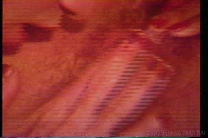 Vanessa The Latin Sex Pot Streaming Video On Demand Adult Empire