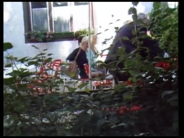 Vogeln Im Wienerwald Charles Medien Adult Dvd Empire