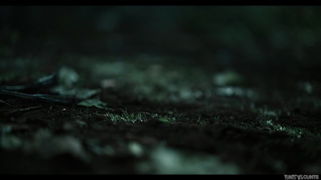 Plants Vs Cunts Vol 6 From Plants Vs Cunts Vol 6 2024 By Plants Vs