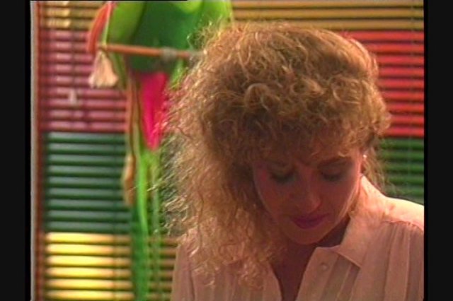Sexy Babe Sucks And Fucks A Hard Cock From Crocodile Blondee By Vcx Hotmovies