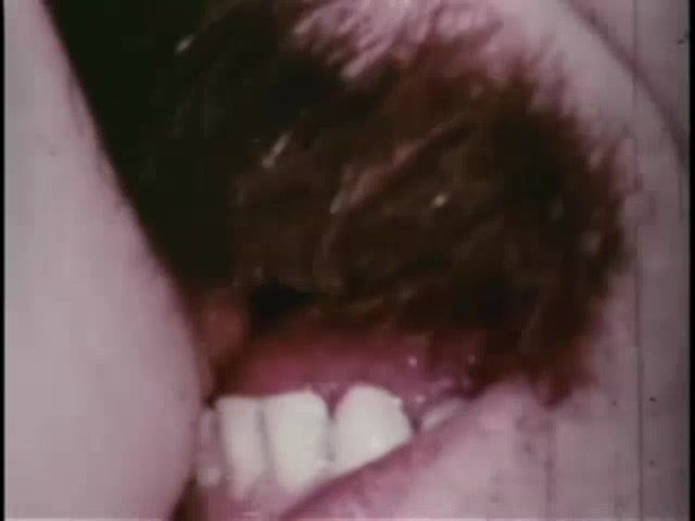 Ding Dong Sex Streaming Video On Demand Adult Empire