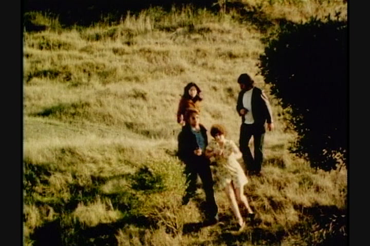 Foxy Lady 1977 Vcx Adult Dvd Empire