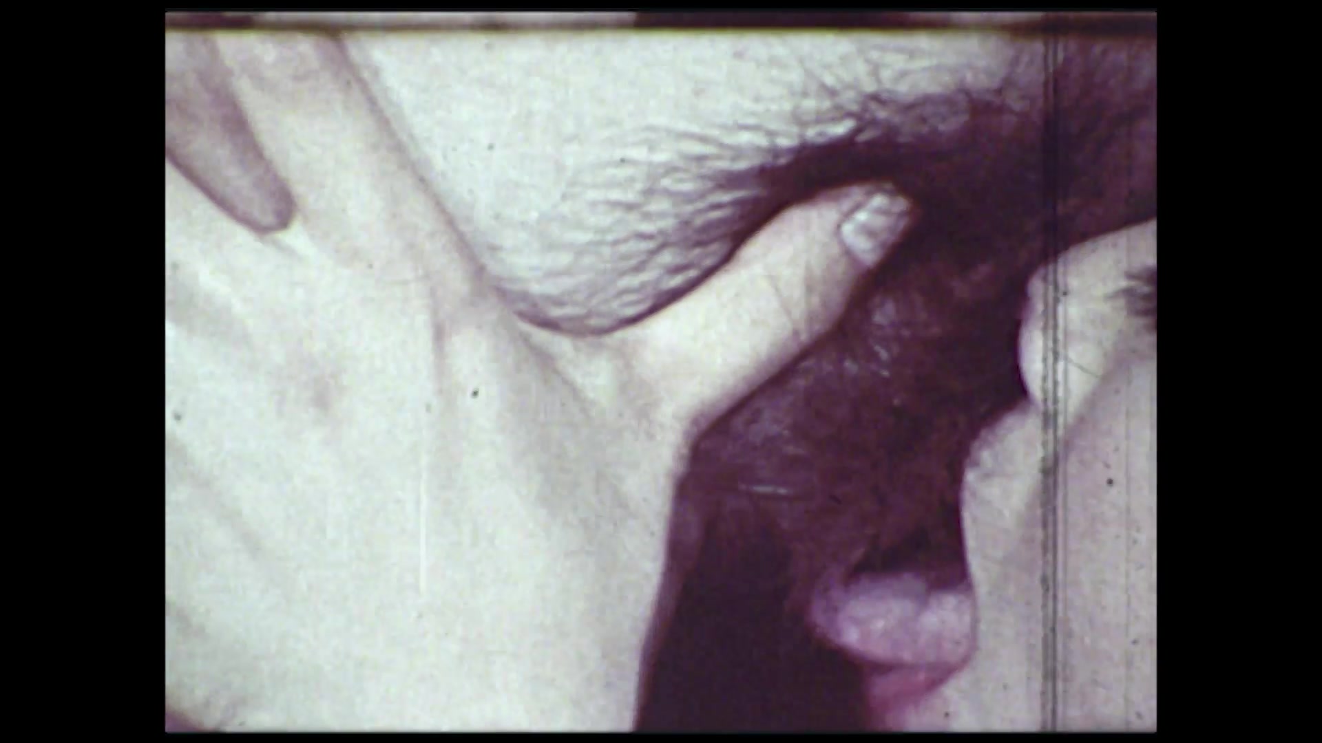Sex International The Geisha And The Princess Streaming Video On Demand 2325