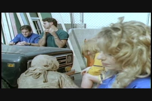 Scene 3 From Comeback 1995 By Vivid Hotmovies