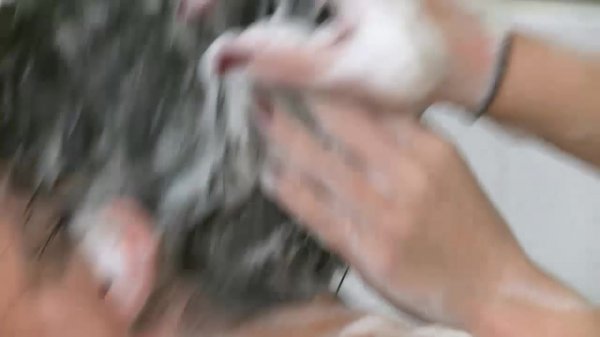 Taboo Sex Fantasies Volume 19 Shampoo Sex Rinse By Digital Alliance