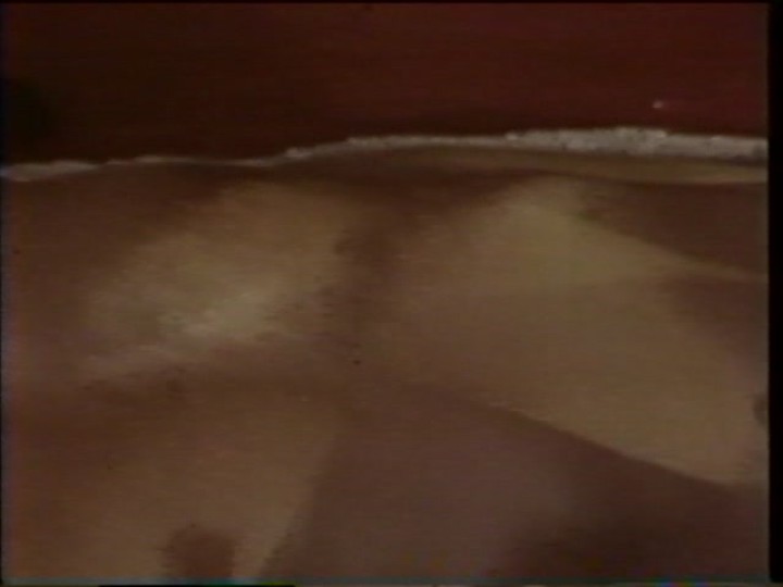 Lost Films Of Suzanne Fields The Volume 2 2015 Adult Empire