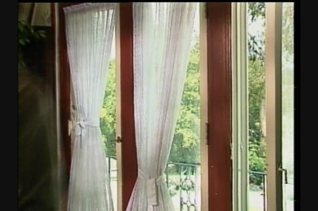 Scene 11 From Swedish Erotica Vol 21 By Caballero Home Video Hotmovies 1214