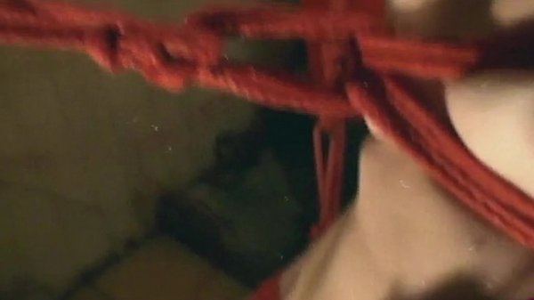 Bondage Sex Boiler 2021 By Altporn4u Hotmovies